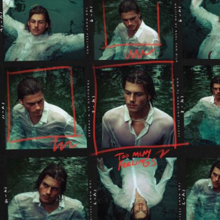 "Too Many Feelings" by Ruel - Song Meanings and Facts