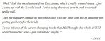 "Levels" by Avicii - Song Meanings and Facts