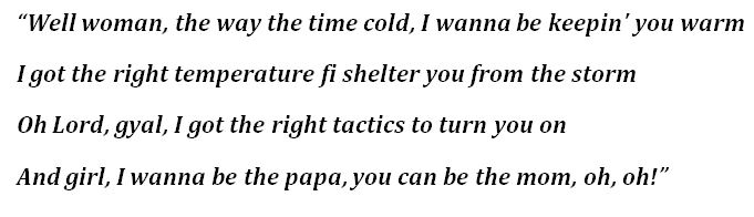 Sean Paul's "Temperature" Lyrics Meaning - Song Meanings and Facts