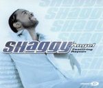 “Angel” by Shaggy (ft. Rayvon) - Song Meanings and Facts