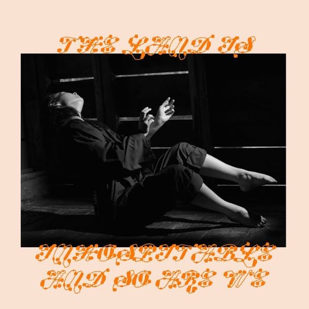 Meaning of "The Frost" by Mitski - Song Meanings and Facts