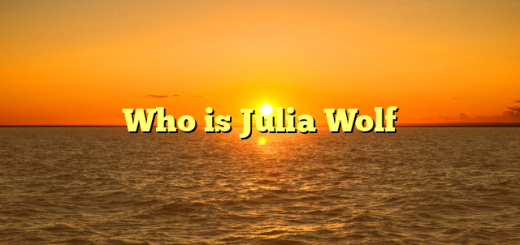 Meaning of "Hinge Boy" by Julia Wolf - Song Meanings and Facts