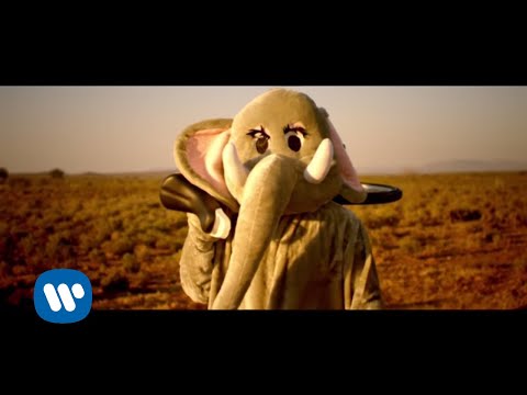 Paradise by Coldplay Lyrics Meaning - Unraveling the Journey to Utopia ...