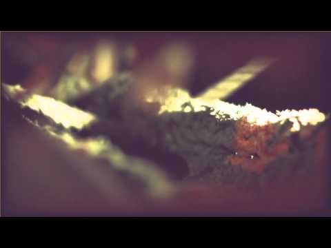 Where the Dead Ships Dwell by In Flames Lyrics Meaning - Navigating the ...