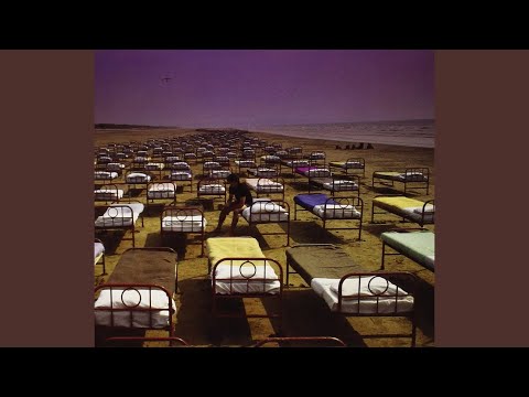 The Dogs of War by Pink Floyd Lyrics Meaning - Dissecting the Anthem of ...