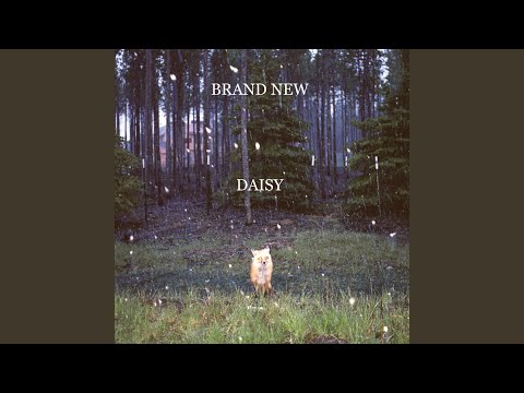 Vices by Brand New Lyrics Meaning - Unraveling the Layers of Human ...