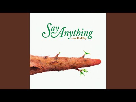 Admit It!!! by Say Anything Lyrics Meaning - Piercing the Facade of the ...