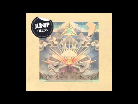 In Every Direction by Junip Lyrics Meaning - Embracing Freedom in Life ...